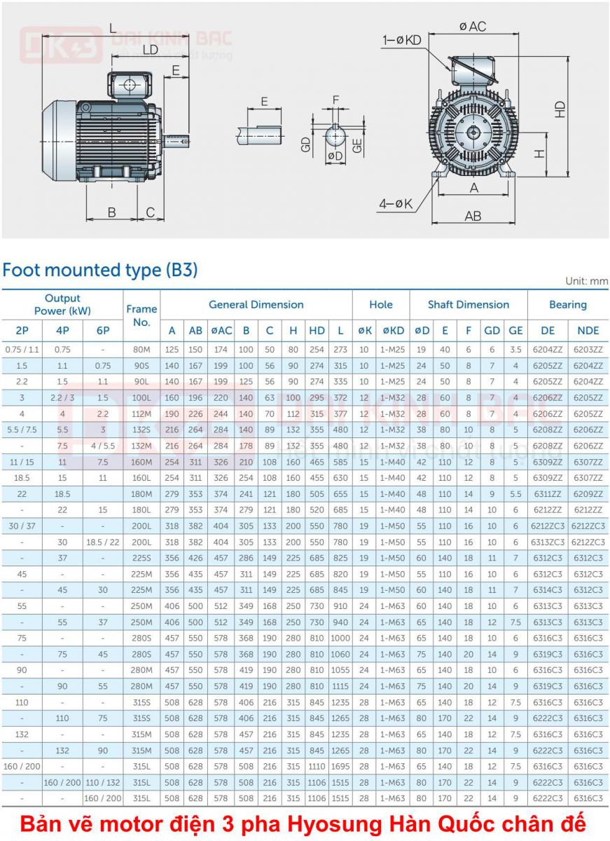 Motor Điện 3 Pha Hyosung Hàn Quốc